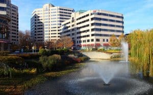 Reston Virginia Immigration Attorney Mona Tehrani: Call (703) 621-9009